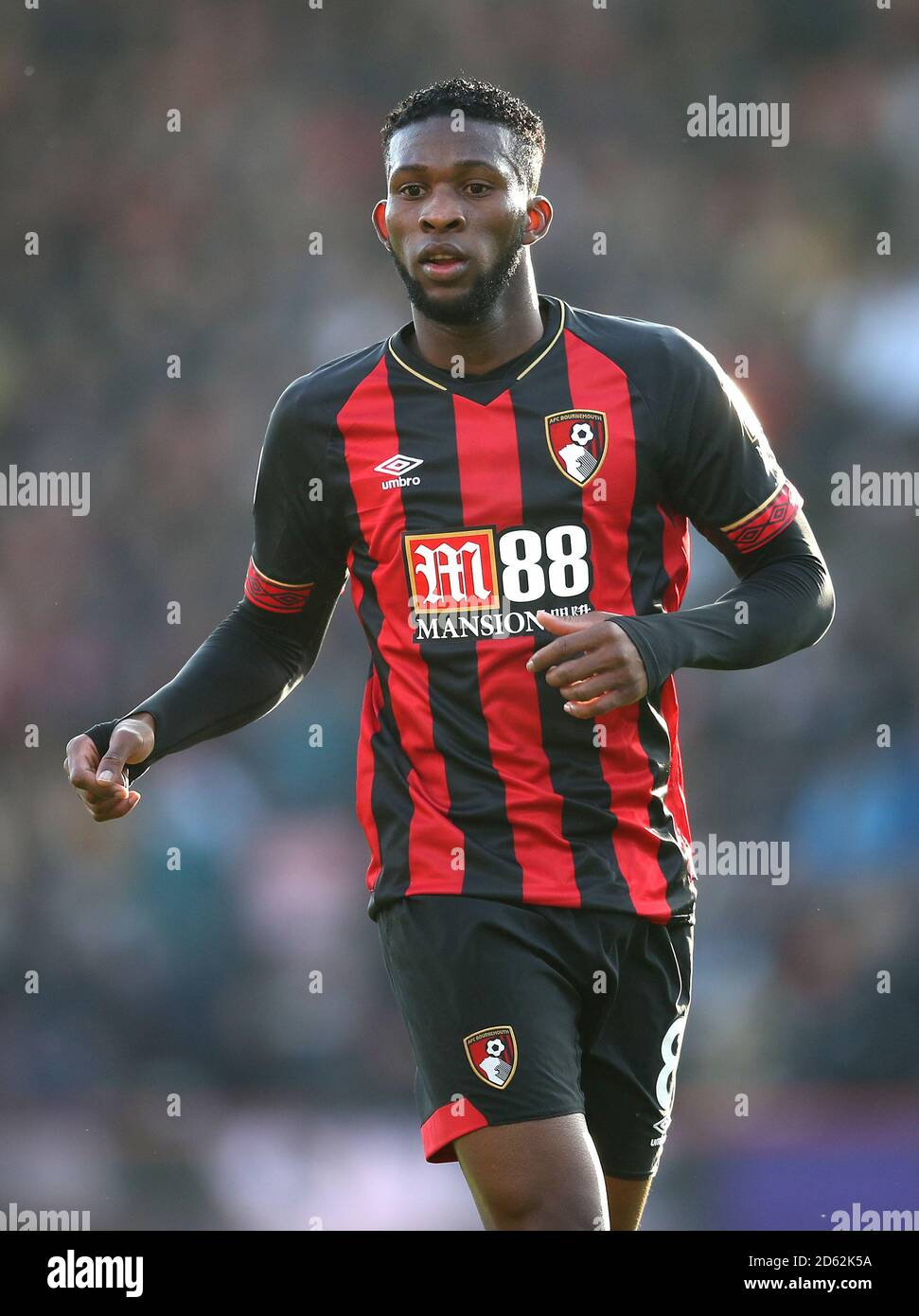 Harry arter hi-res stock photography and images - Alamy