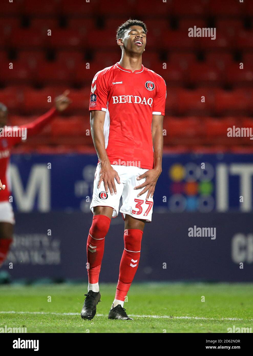 Recco Hackett-Fairchild, Charlton Athletic Stock Photo - Alamy