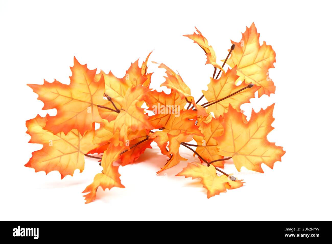 Autumn thanksgiving background design Cut Out Stock Images & Pictures ...