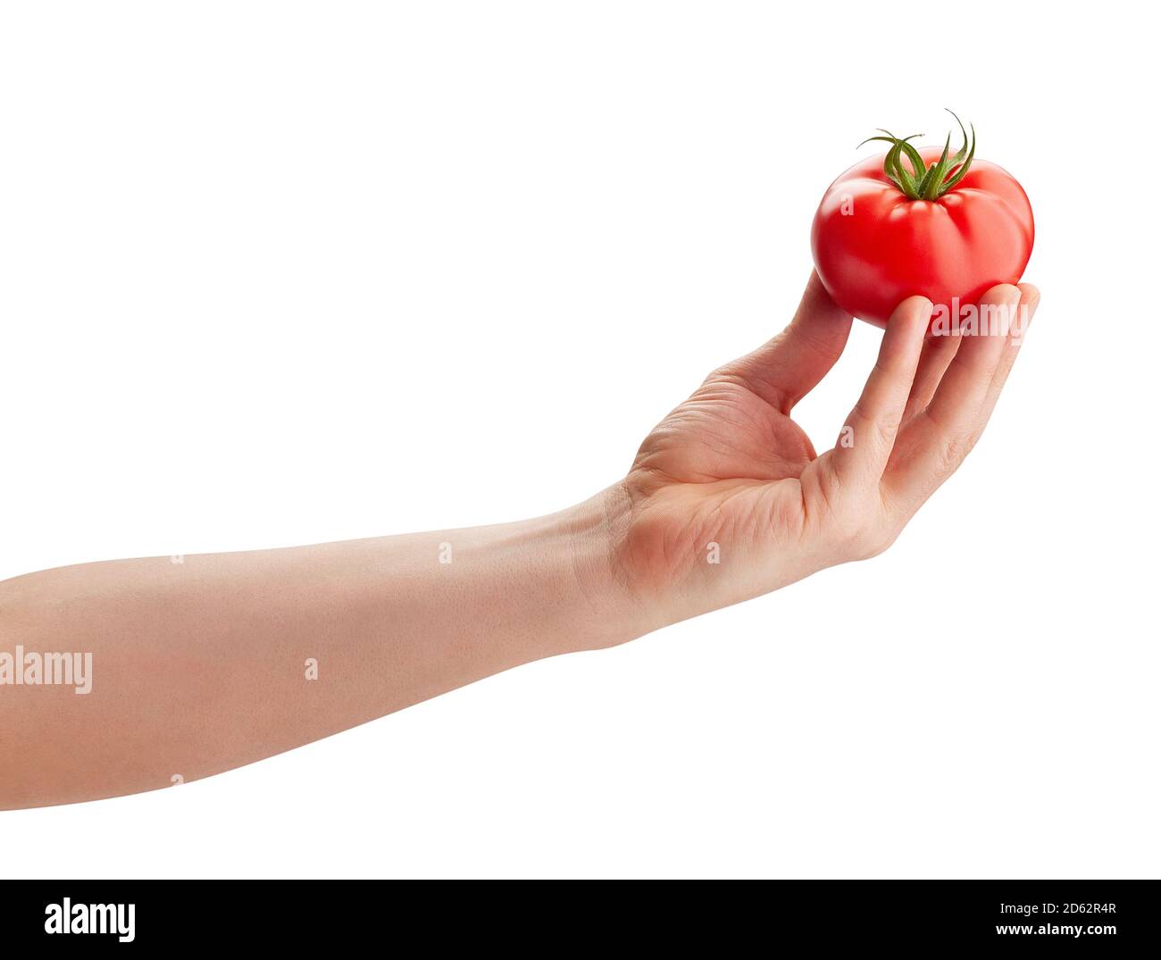 tomato in hand path isolated on white Stock Photo - Alamy