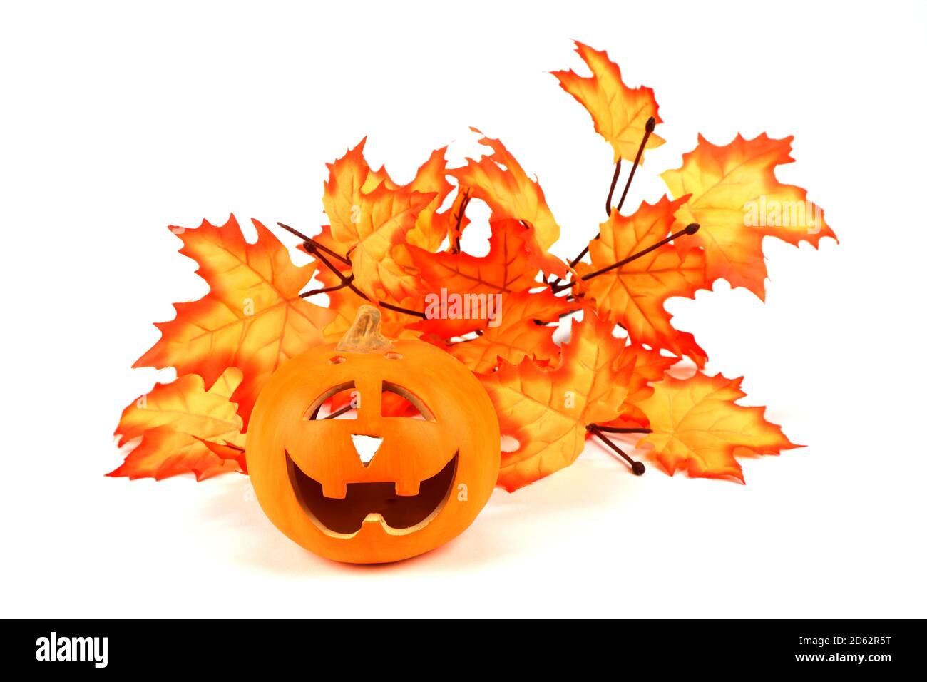 O foliage Cut Out Stock Images & Pictures - Alamy