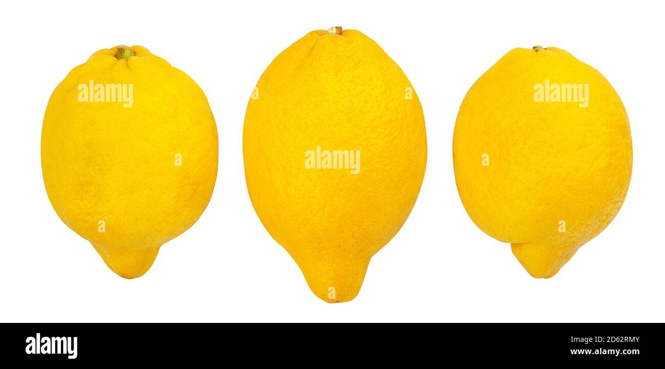 lemon path isolated on white Stock Photo - Alamy