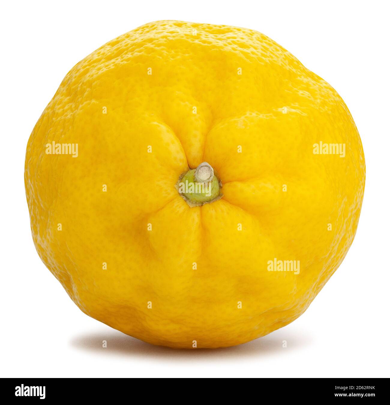 lemon path isolated on white Stock Photo - Alamy