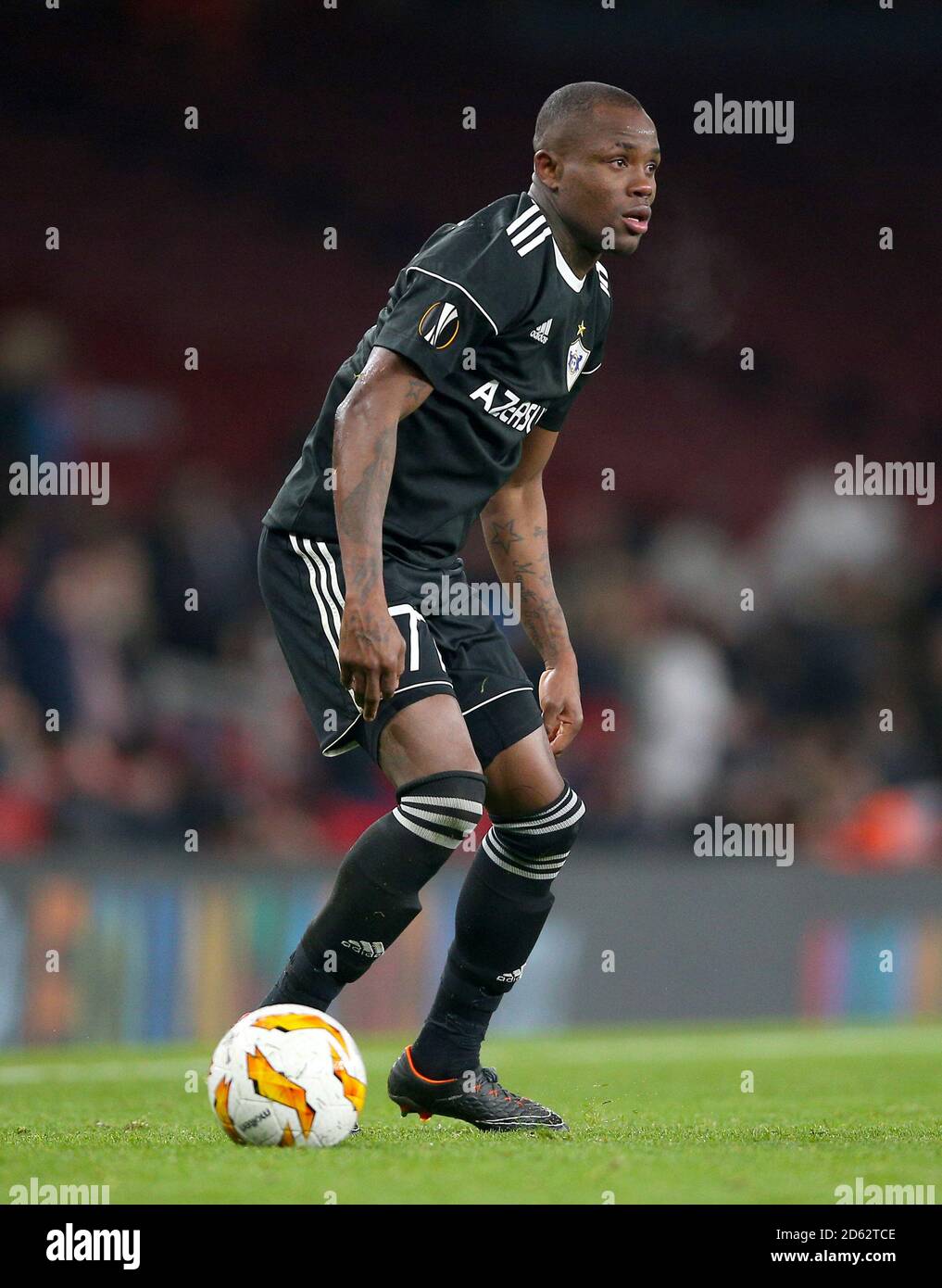 Wilde guerrier hi-res stock photography and images - Alamy