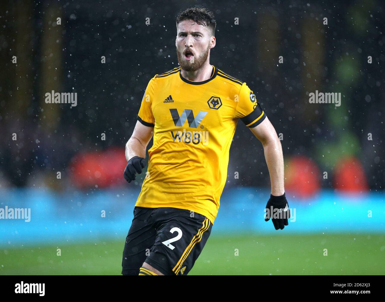 Matt doherty wolves in hi-res stock photography and images - Alamy