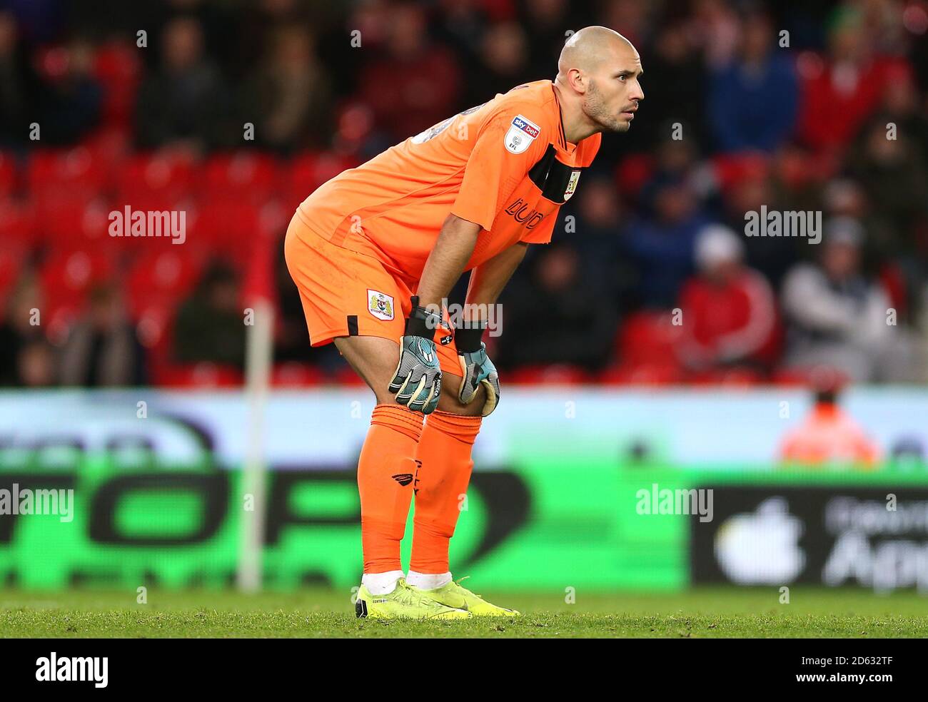 Bristol City goalkeeper Niki Maenpaa Stock Photo - Alamy