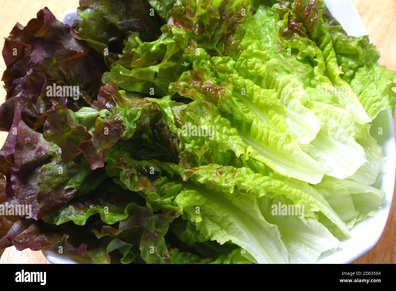 Full organic lettuce plant hi-res stock photography and images - Alamy