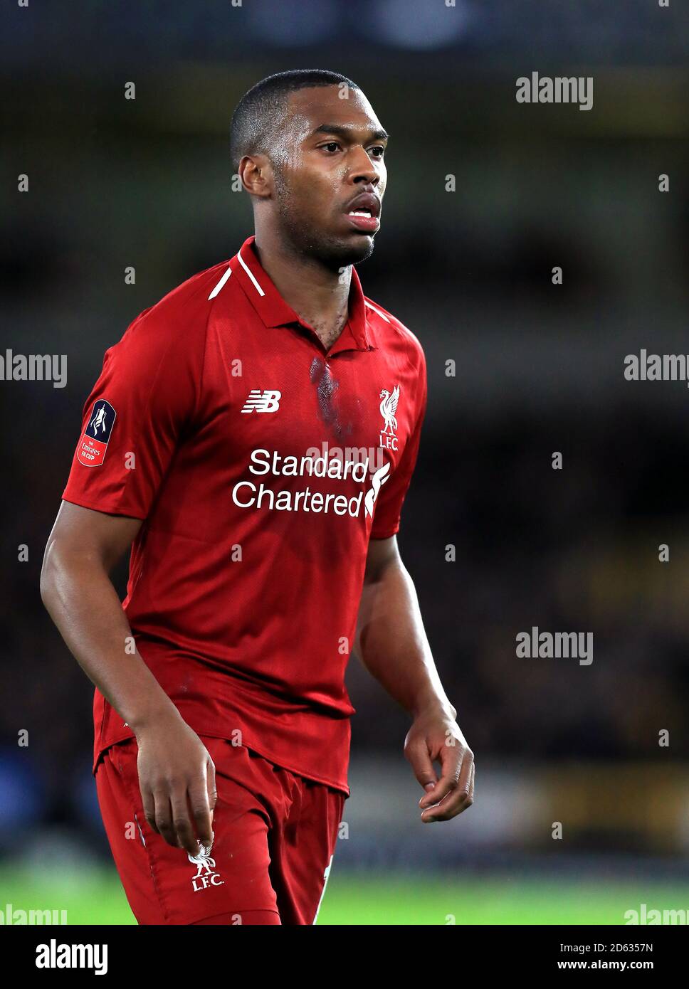 Daniel Sturridge, Liverpool Stock Photo - Alamy