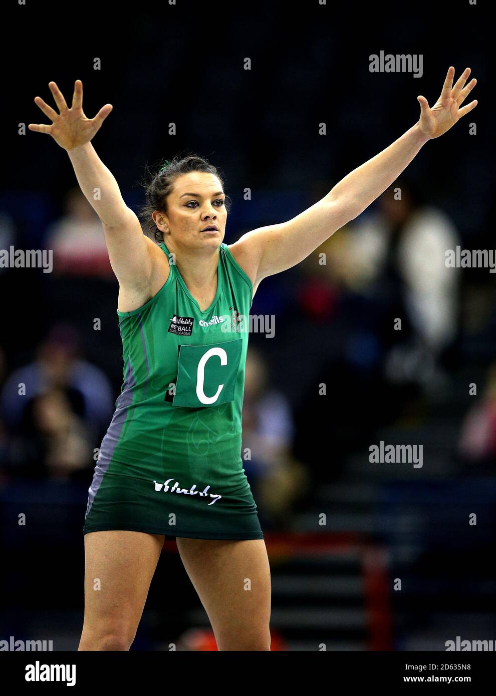 Nia Jones, Celtic Dragons Stock Photo - Alamy