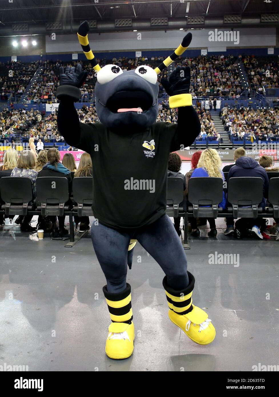 Wasps Netball mascot Sting Stock Photo - Alamy