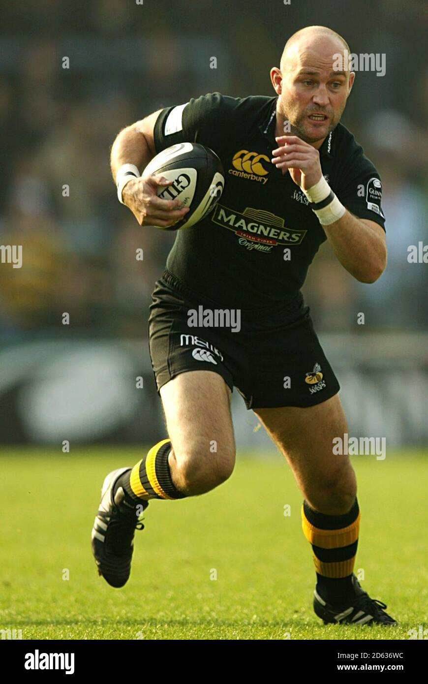 London Wasps Alex King Stock Photo - Alamy