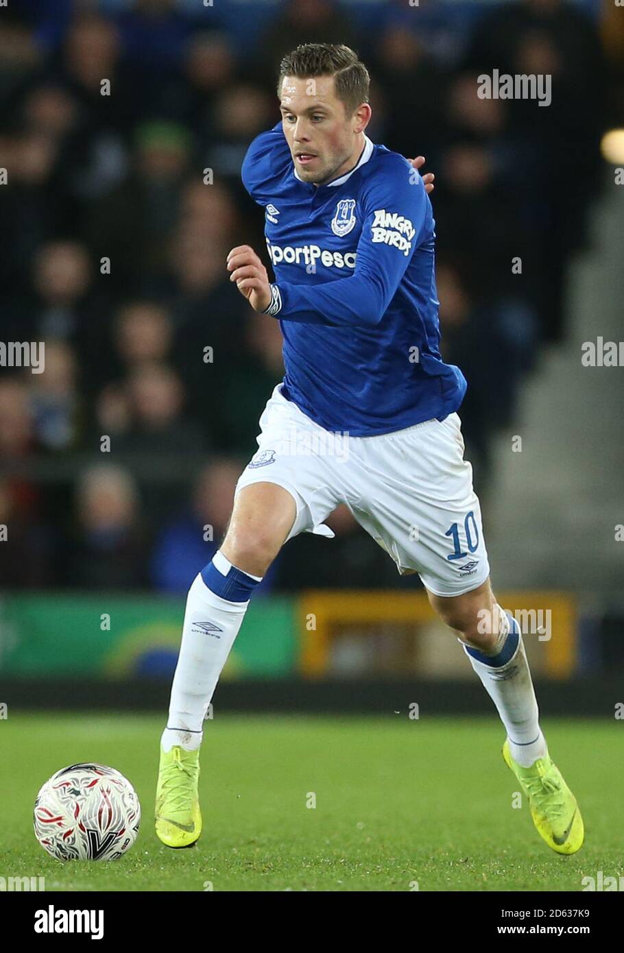 Everton's Gylfi Sigurdsson Stock Photo - Alamy