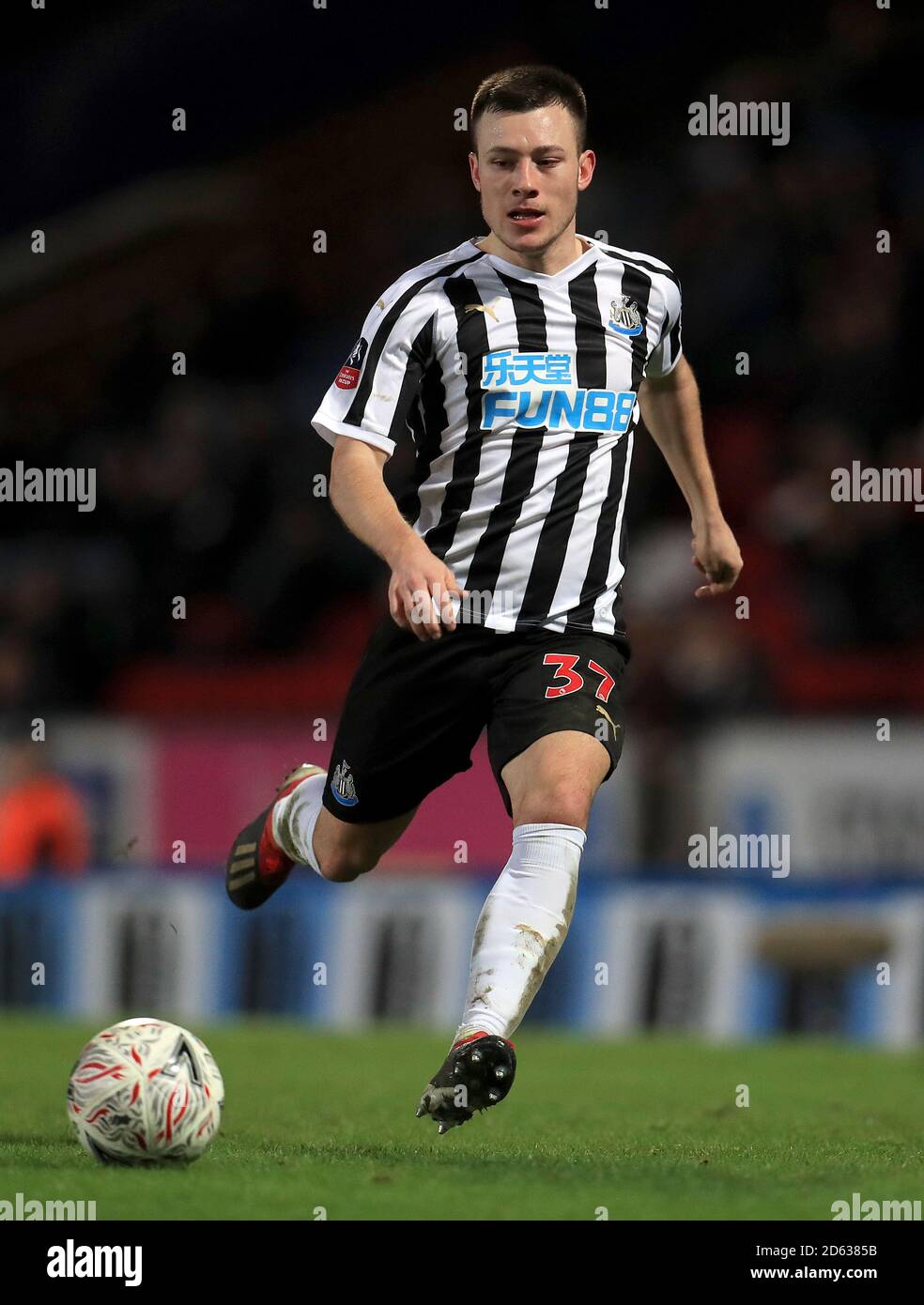 Callum roberts hi-res stock photography and images - Alamy