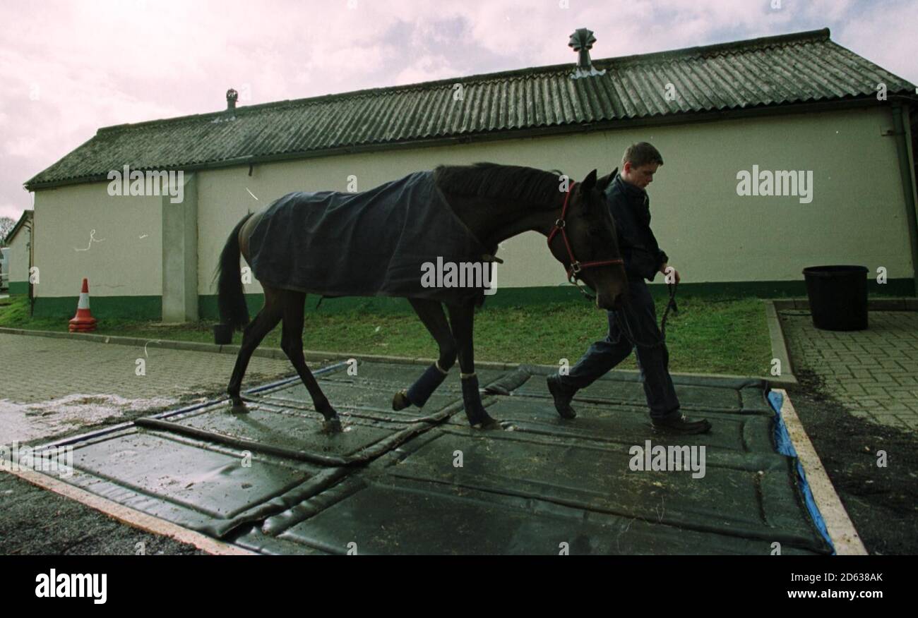 Horse stable racing hi-res stock photography and images - Alamy