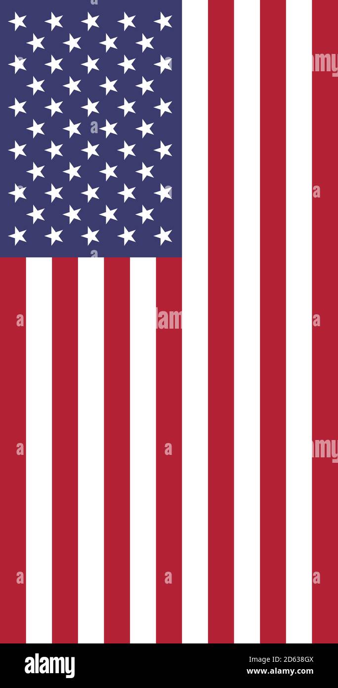 Official Large Flat Flag of the United States of America Vertical Stock ...