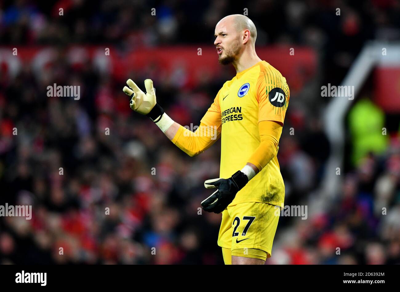 Brighton & Hove Albion goalkeeper David Button Stock Photo - Alamy