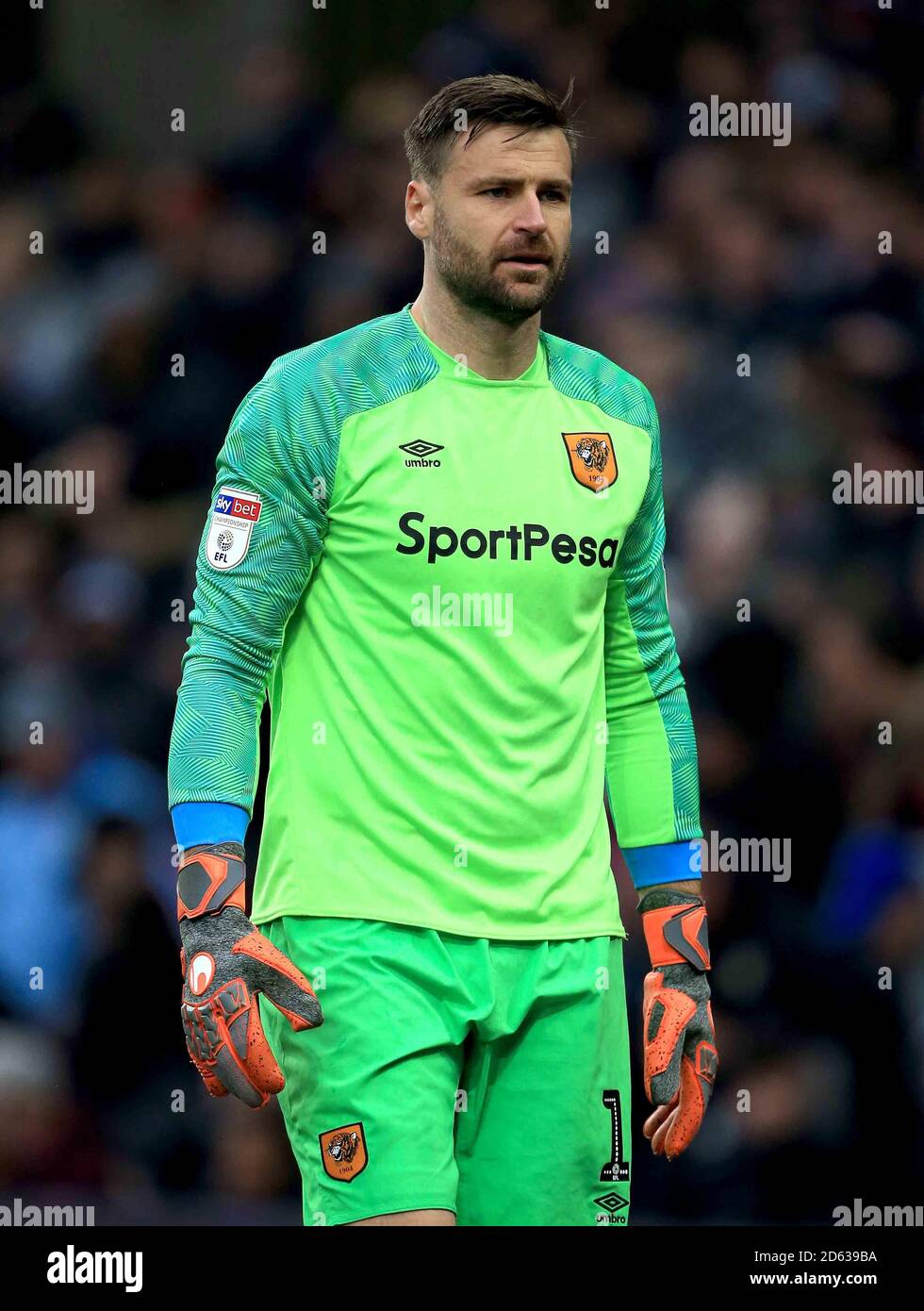 Hull City goalkeeper David Marshall Stock Photo - Alamy