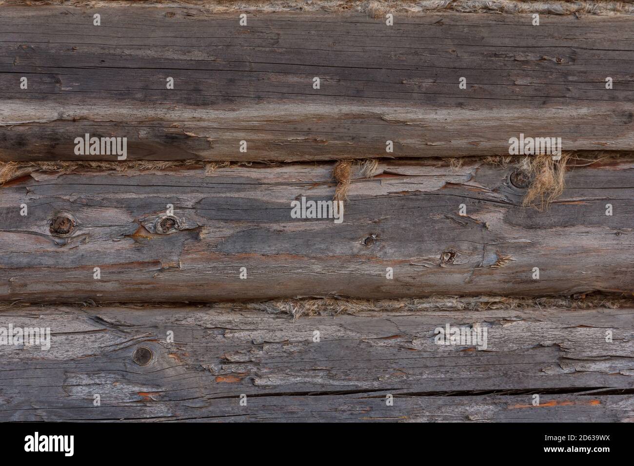 Wooden wall from old logs. Rough texture of wood. log wall background ...