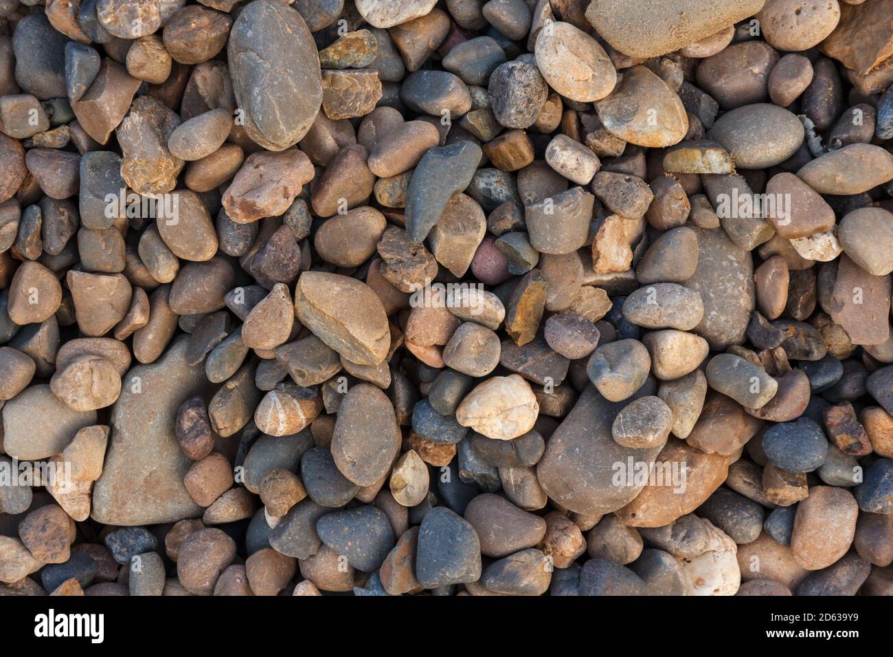 Colorful beach stone background. River pebble close-ups. View of ...