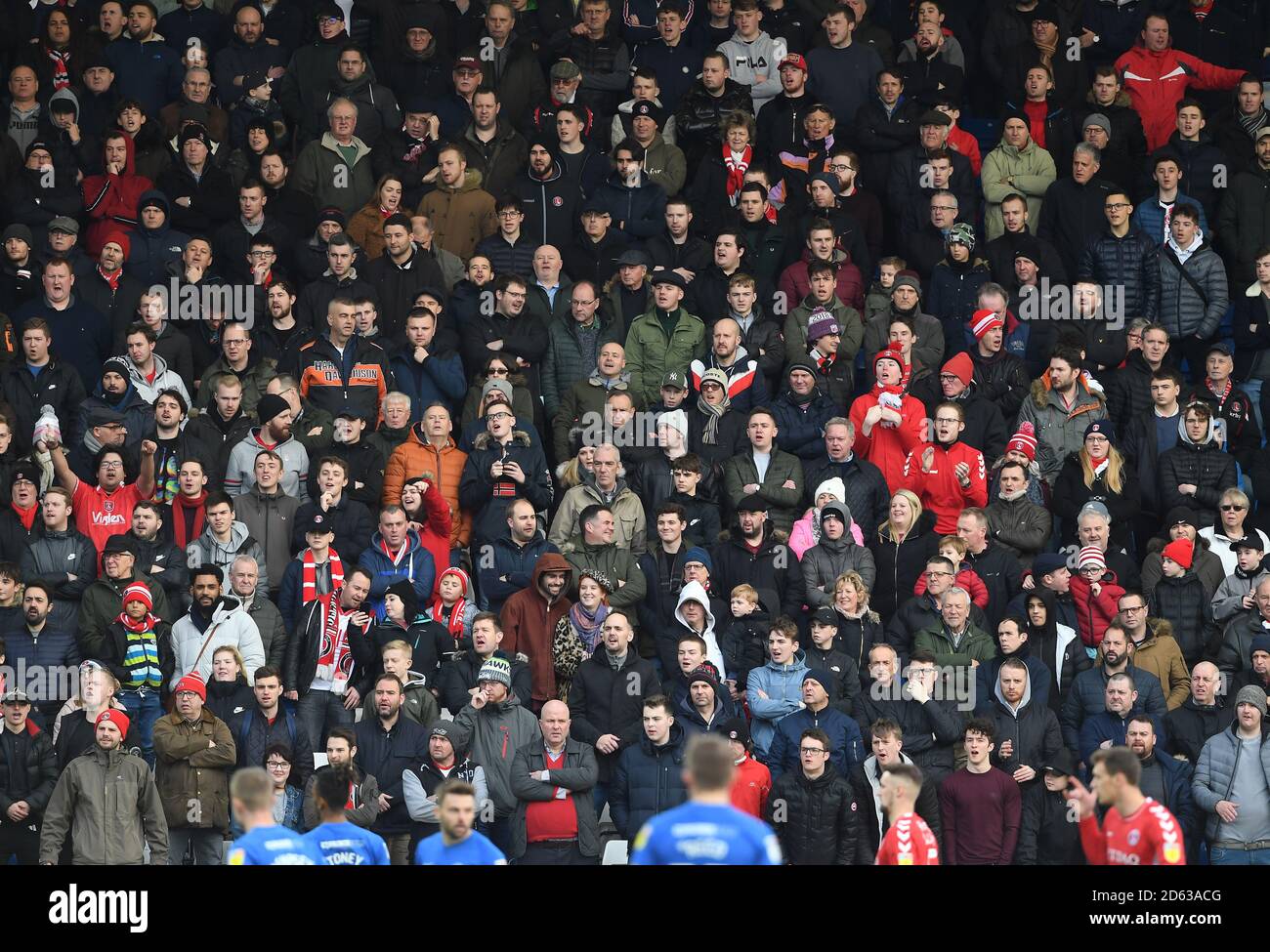 Charlton Athletic fans show support from the stands Stock Photo - Alamy