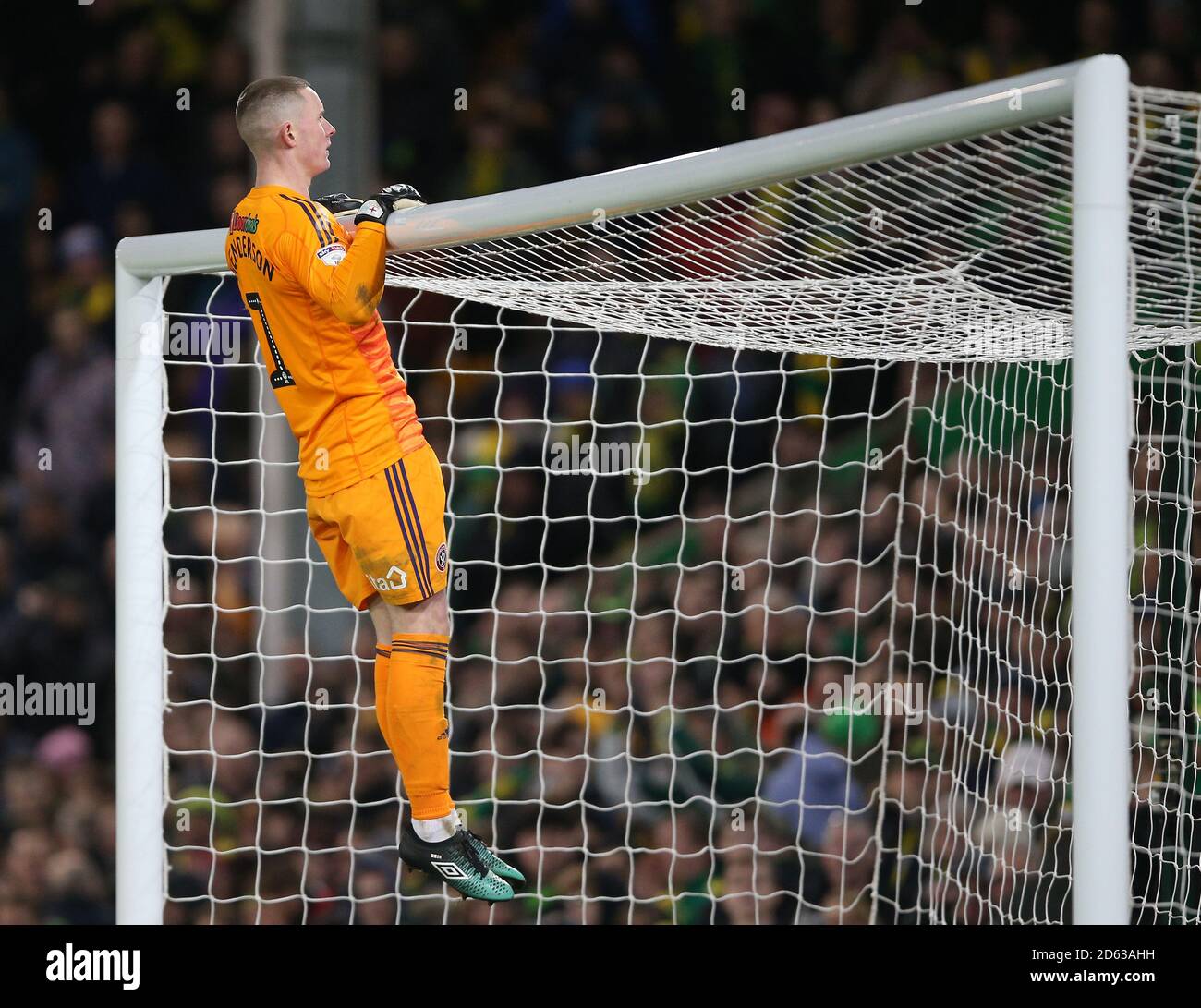 Sheffield United goalkeeper Dean Henderson Stock Photo - Alamy