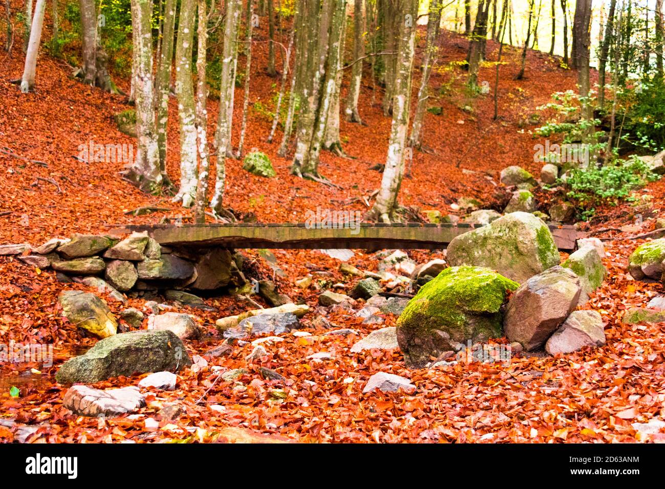 Beautiful autumn scenery in the Montseny Natural Park in Barcelona ...