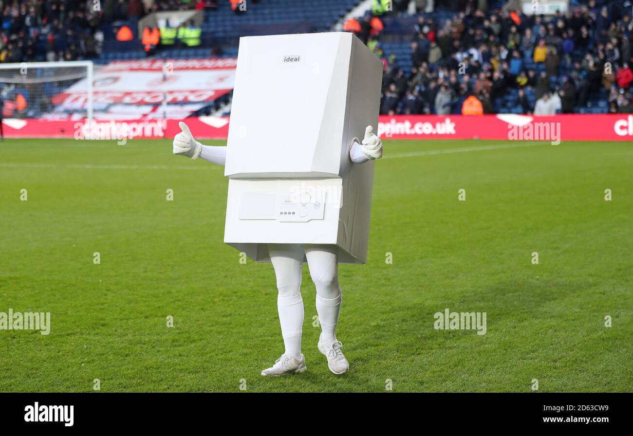 West bromwich albions mascot hi-res stock photography and images - Alamy