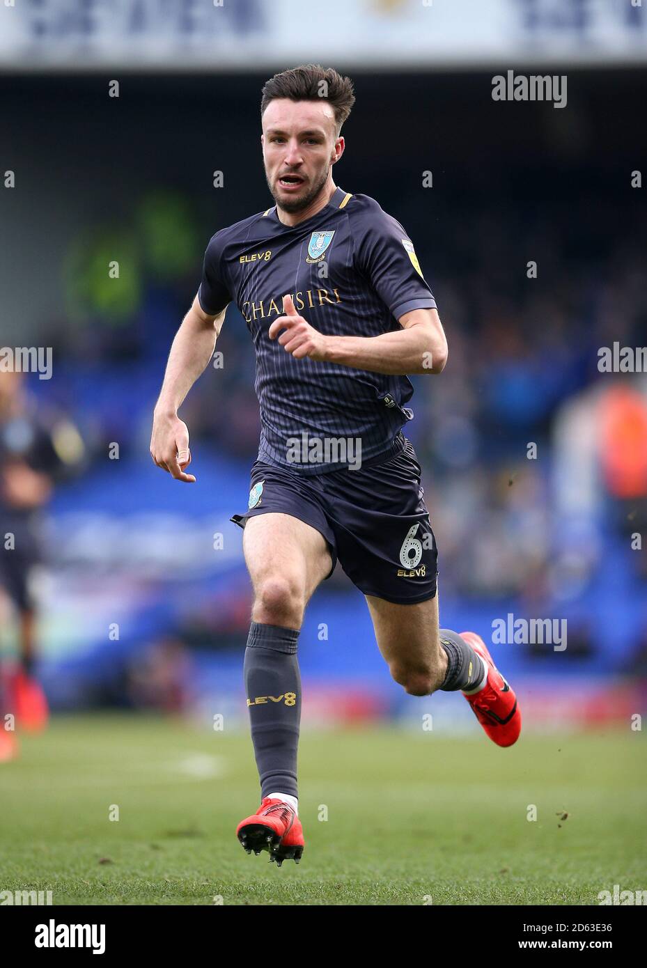 Sheffield wednesdays morgan fox hi-res stock photography and images - Alamy