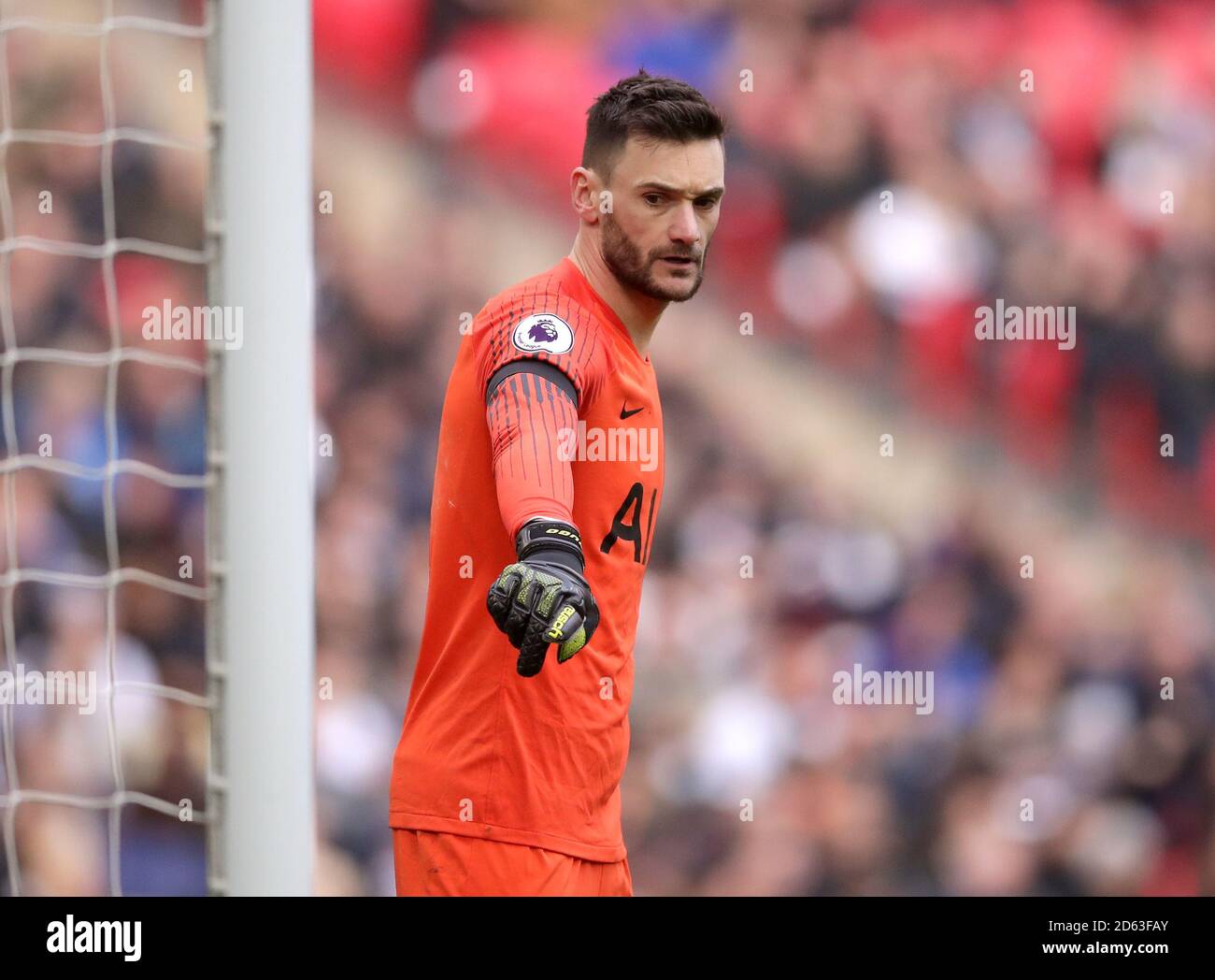 Tottenham Hotspur goalkeeper Hugo Lloris Stock Photo - Alamy
