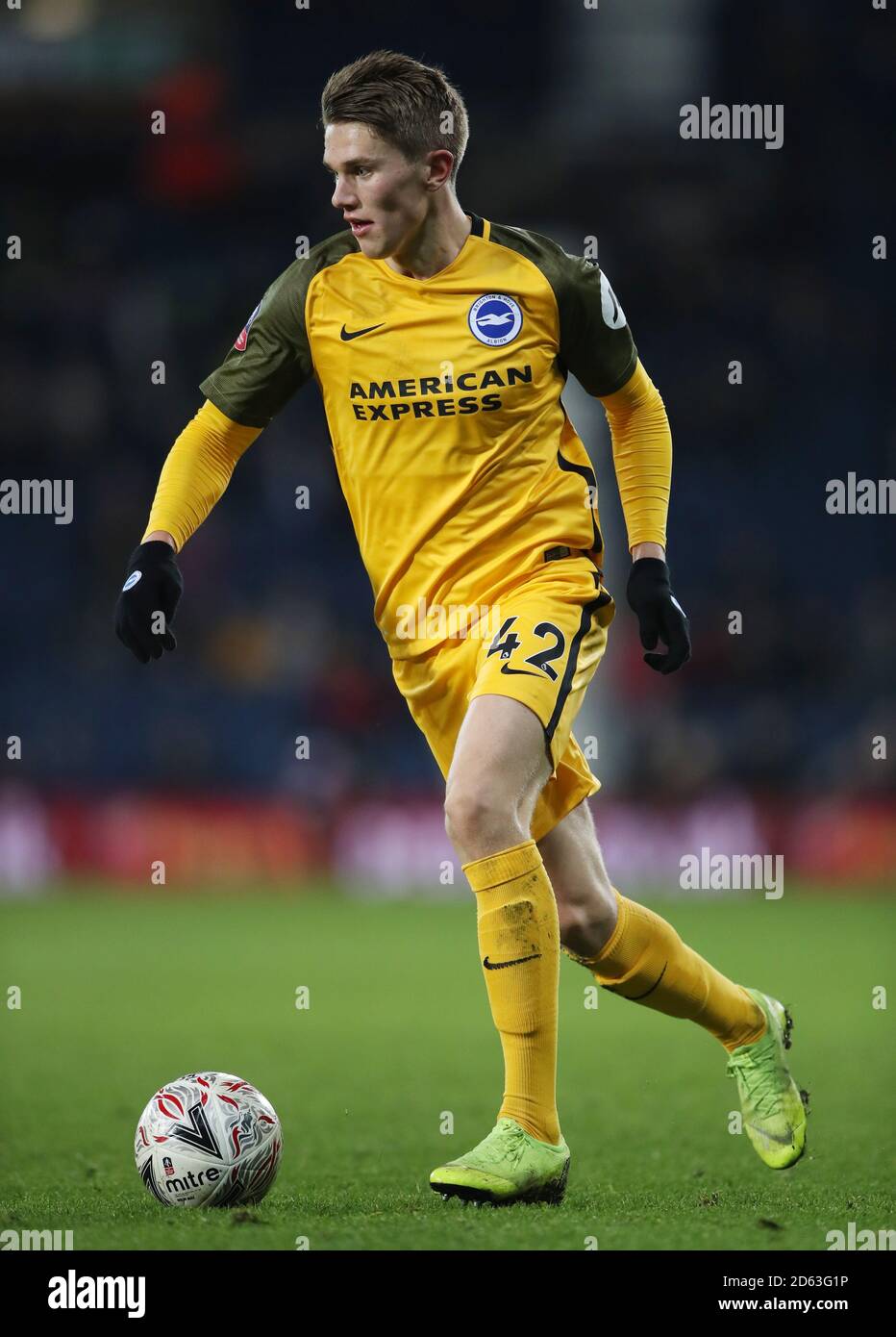 Brighton & Hove Albion's Viktor Gyokeres Stock Photo - Alamy