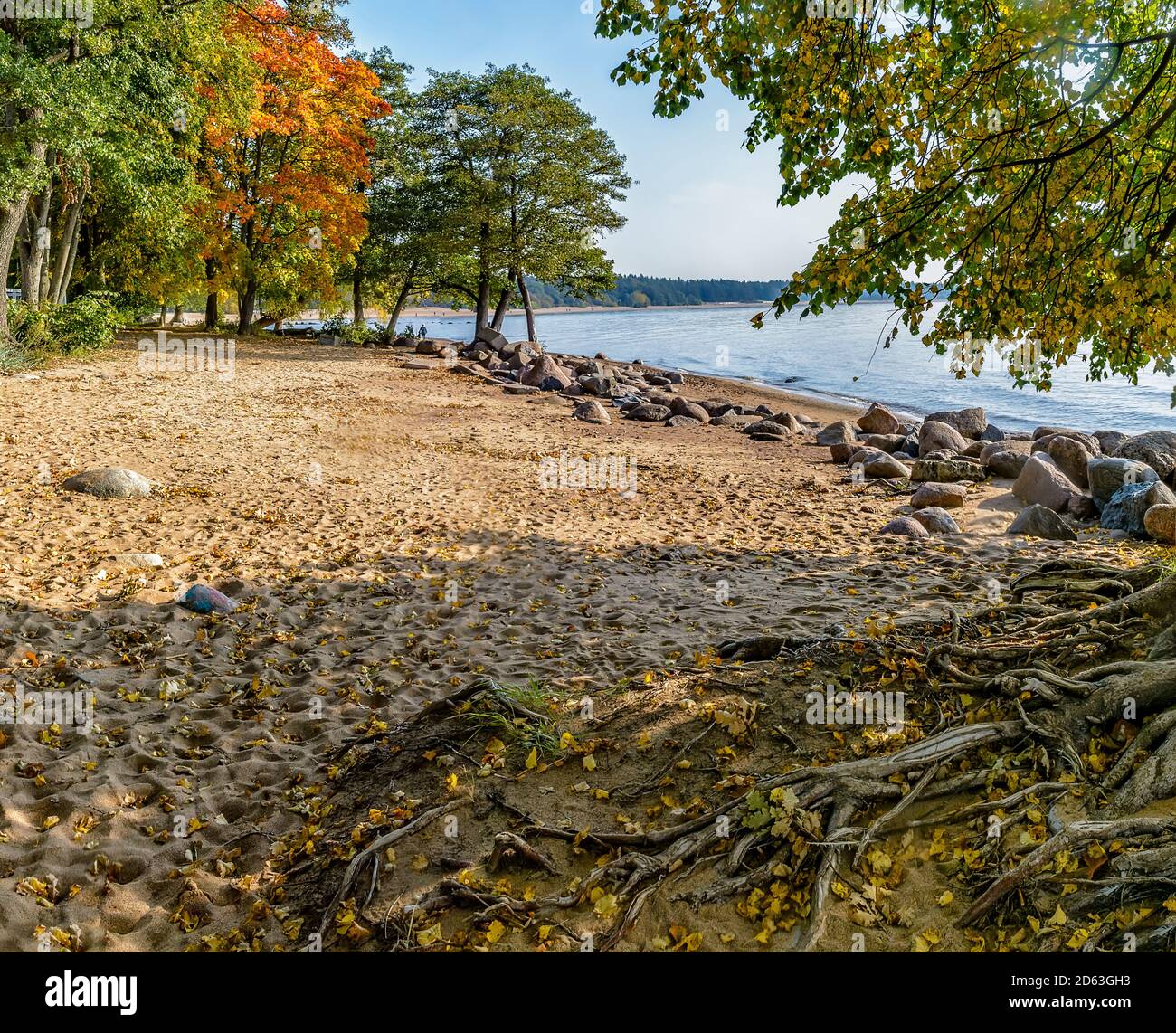 The coast of the Gulf of Finland on a sunny September day Stock Photo ...