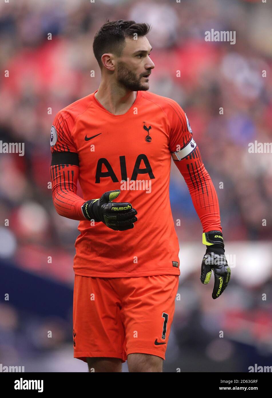 Tottenham Hotspur goalkeeper Hugo Lloris Stock Photo - Alamy