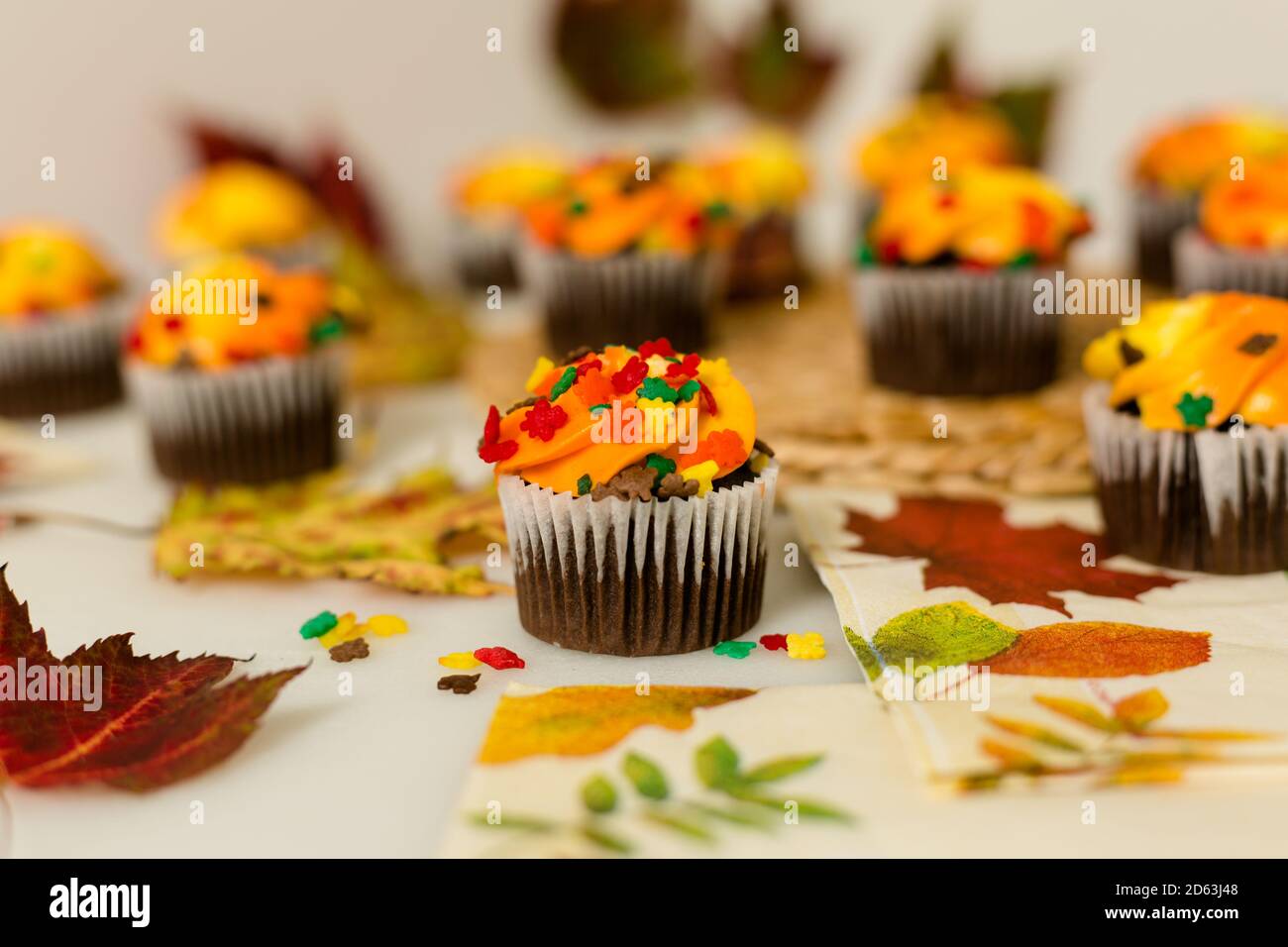 Fall Chocolate Cupcake Stock Photo - Alamy