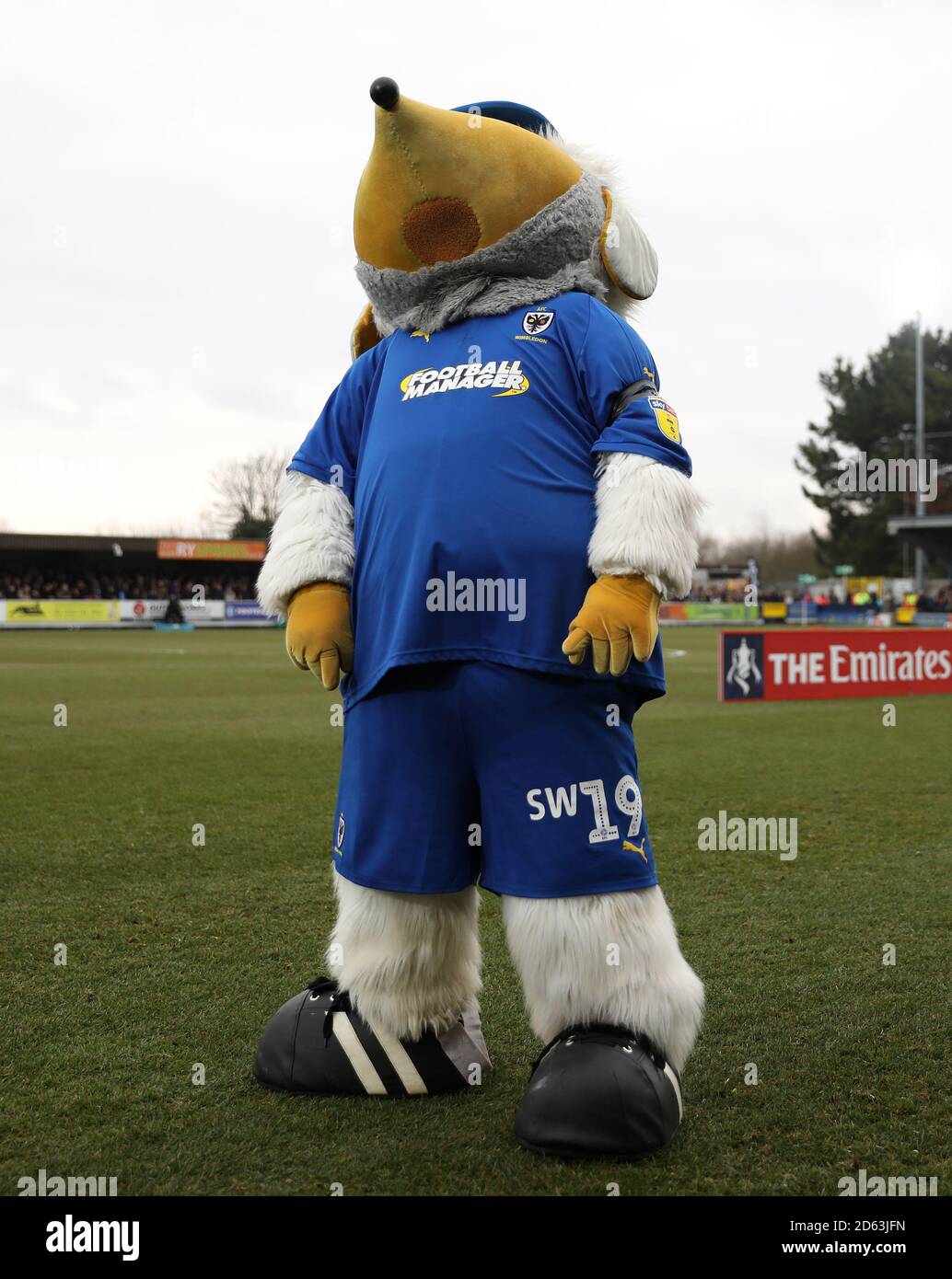 Womble mascot hi-res stock photography and images - Alamy