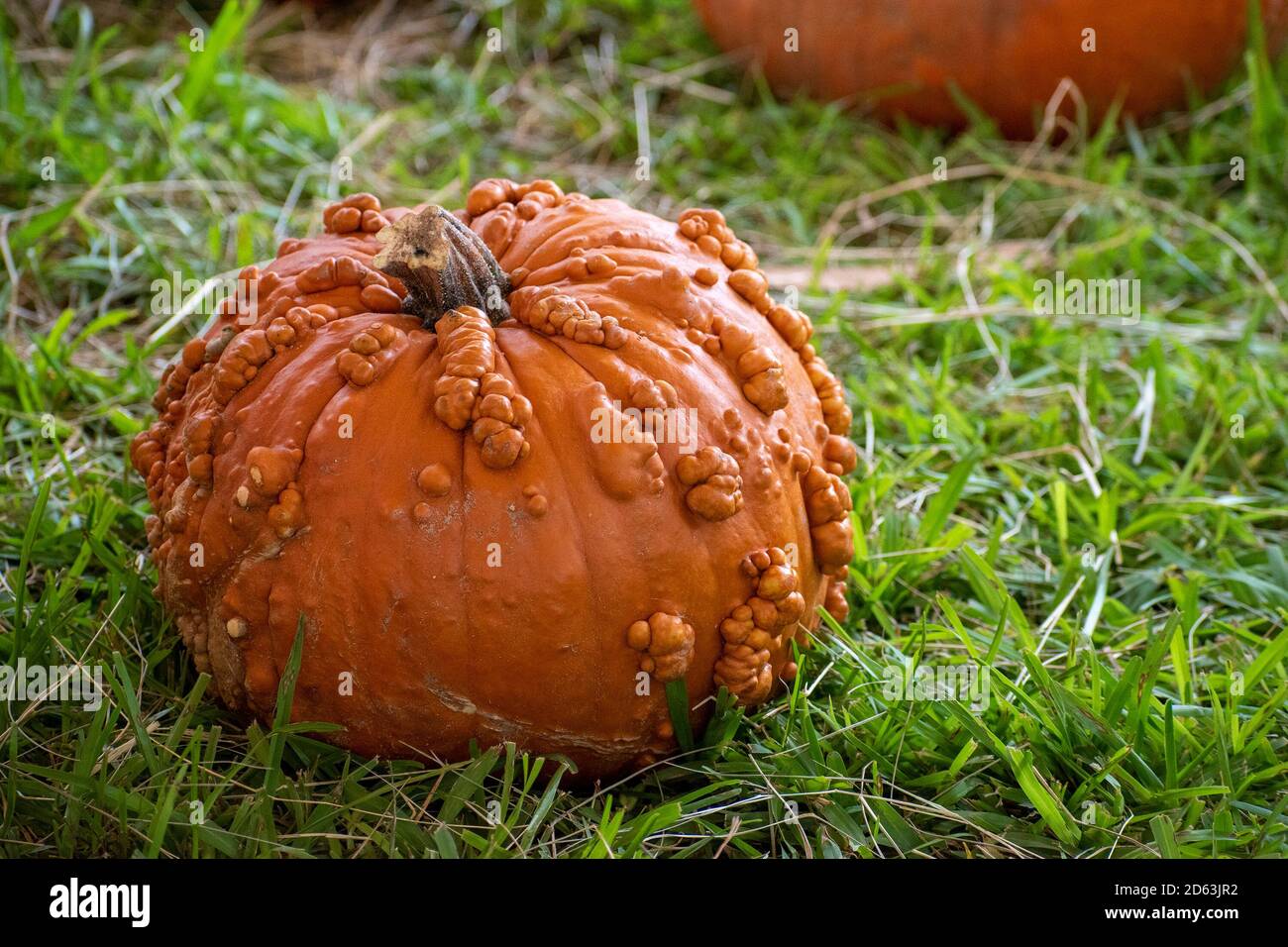 September in miami beach hi-res stock photography and images - Alamy