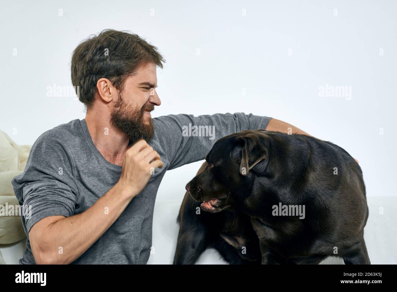 Happy man and dog on the couch In a bright room pet is a friend of man ...