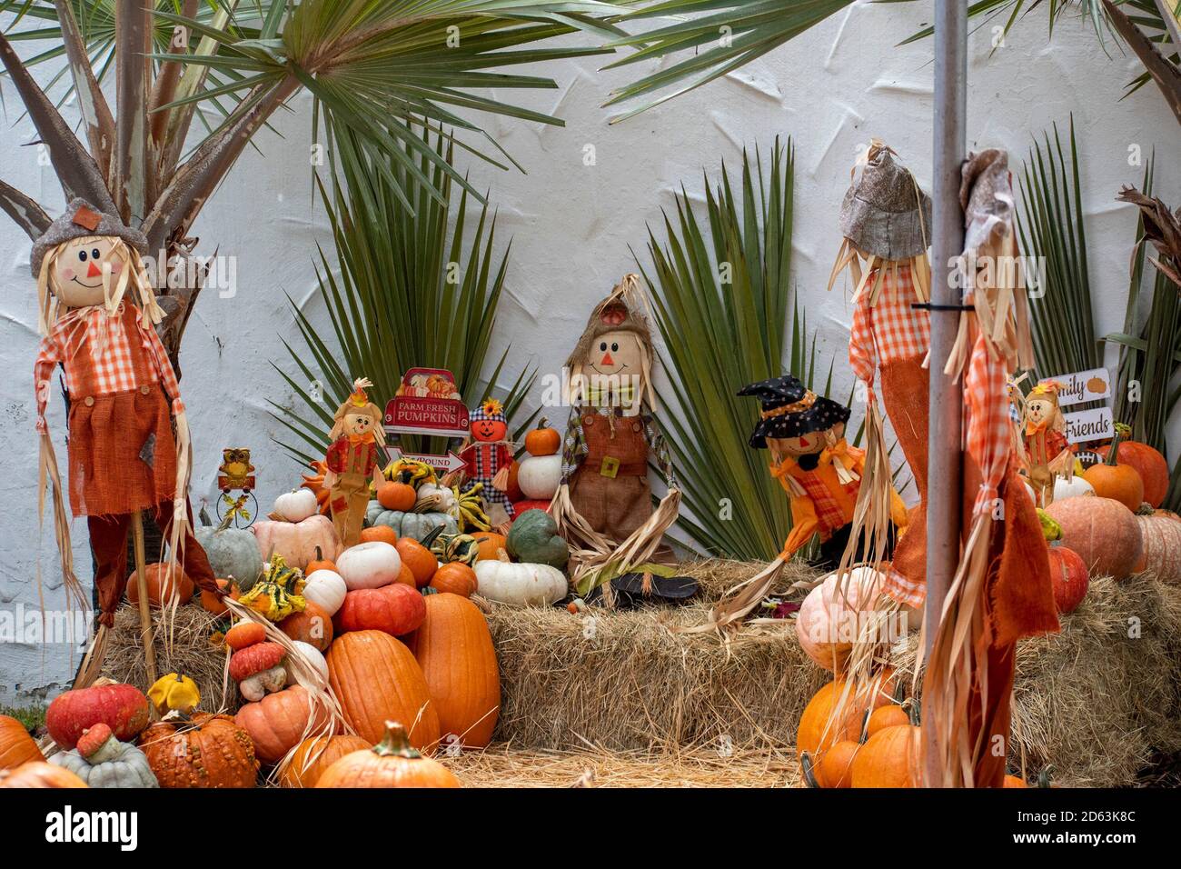 Family of scarecrows hi-res stock photography and images - Alamy