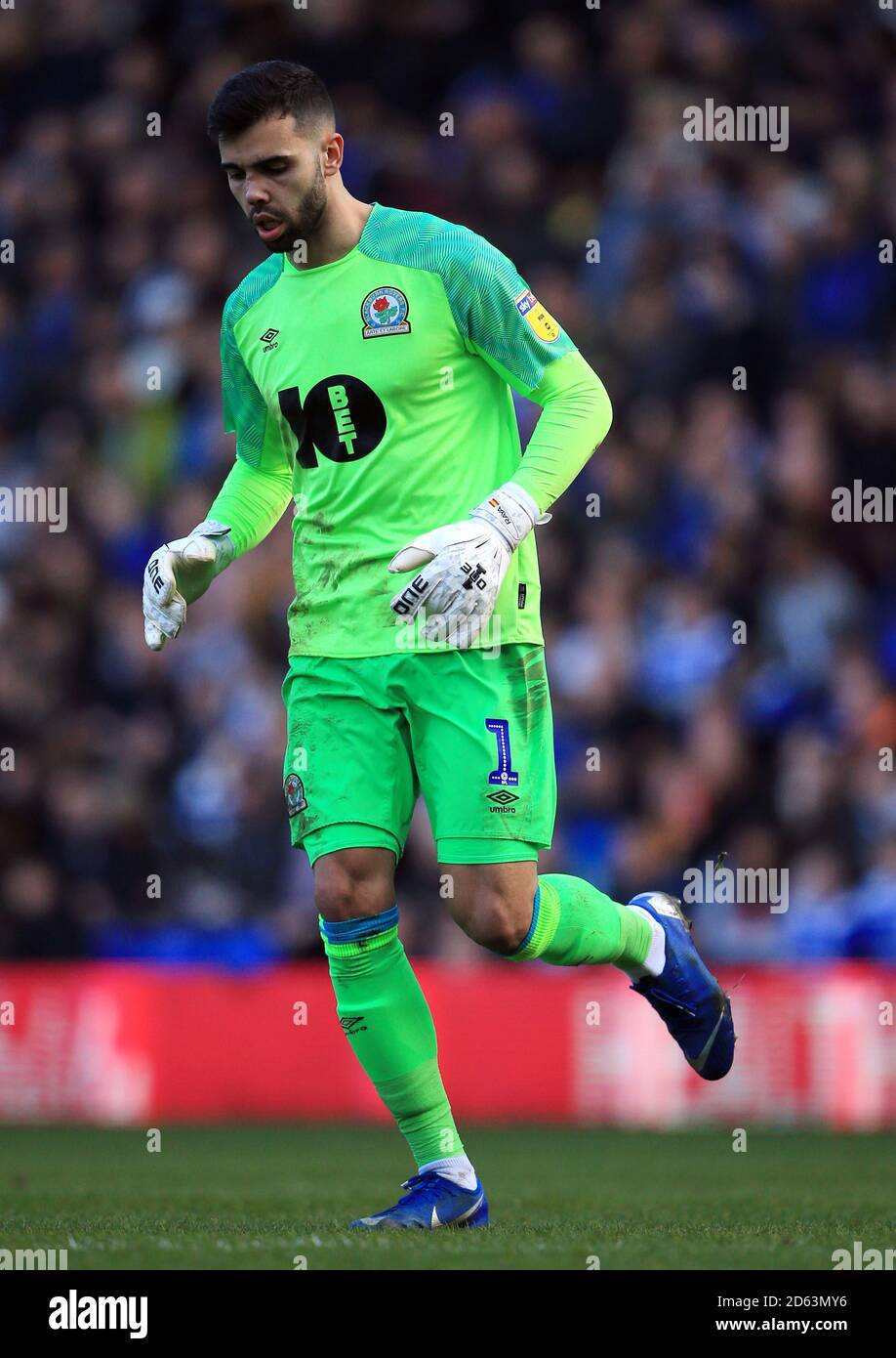 Blackburn Rovers goalkeeper David Raya Stock Photo - Alamy