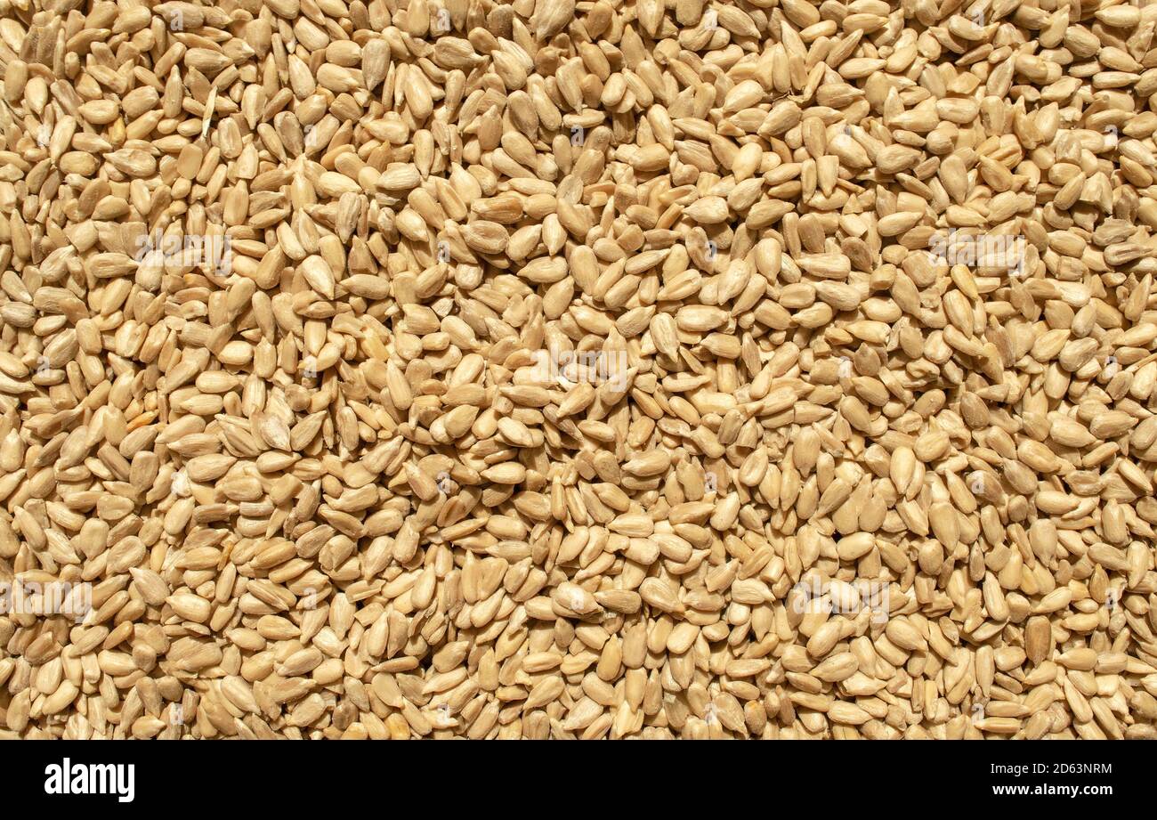 Background made of fresh sunflower seeds. Black peeled sunflower seeds ...
