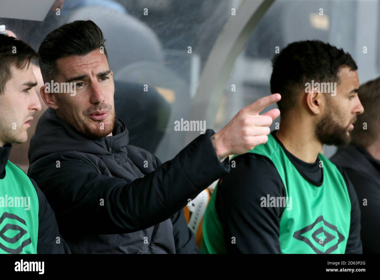 Hull City's Liam Ridgewell on the bench Stock Photo - Alamy
