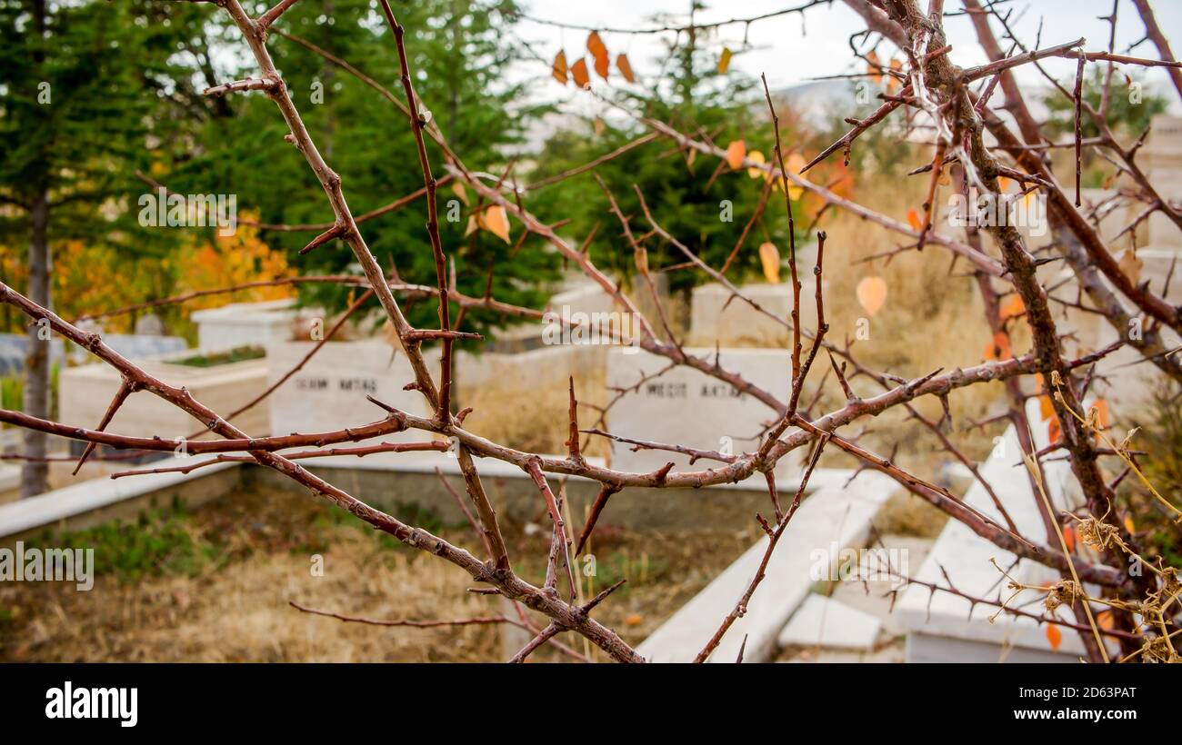 Istanbul, Turkey - October 2012: Muslim cemetery graves beneath a small ...