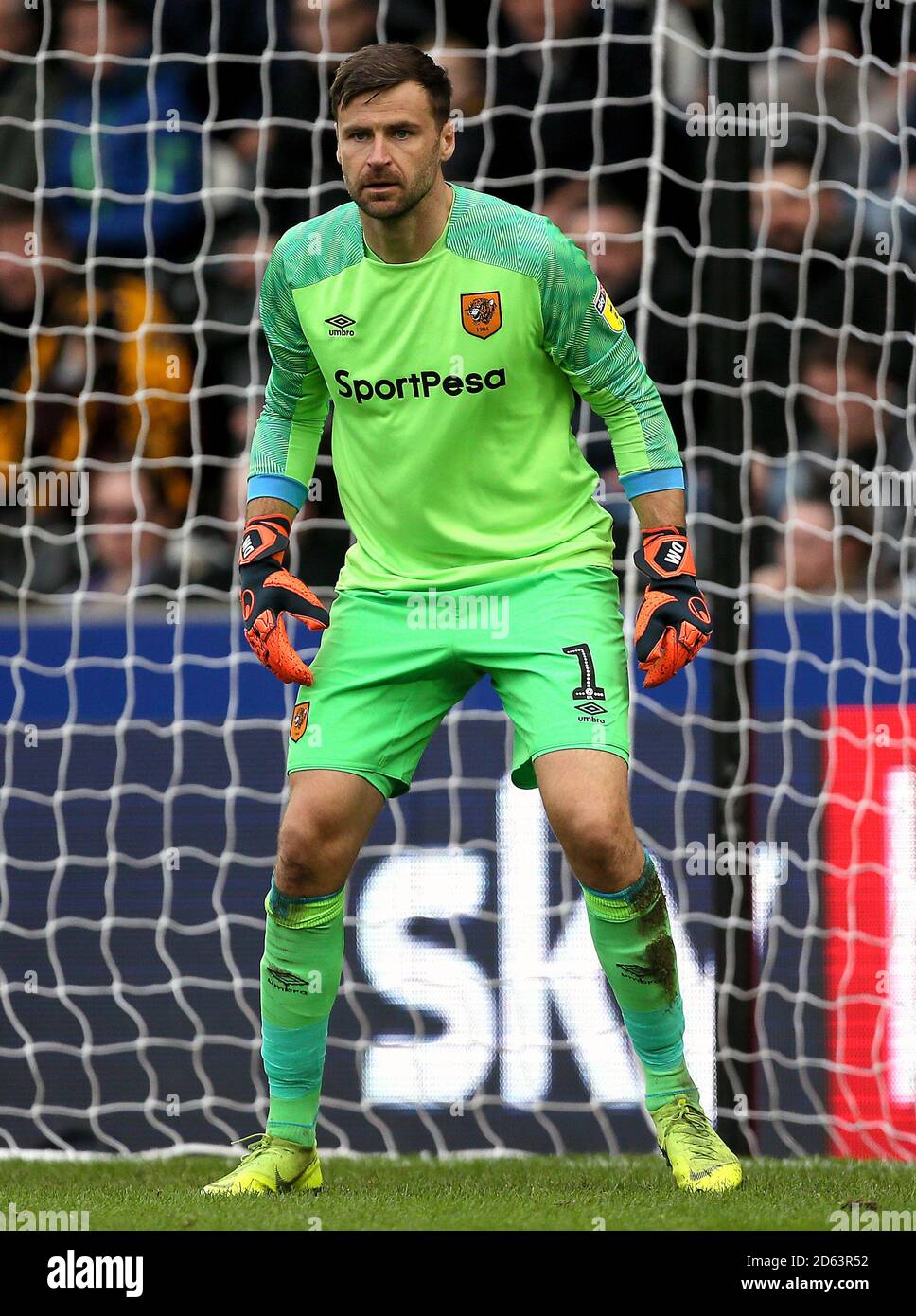 Hull City goalkeeper David Marshall Stock Photo - Alamy
