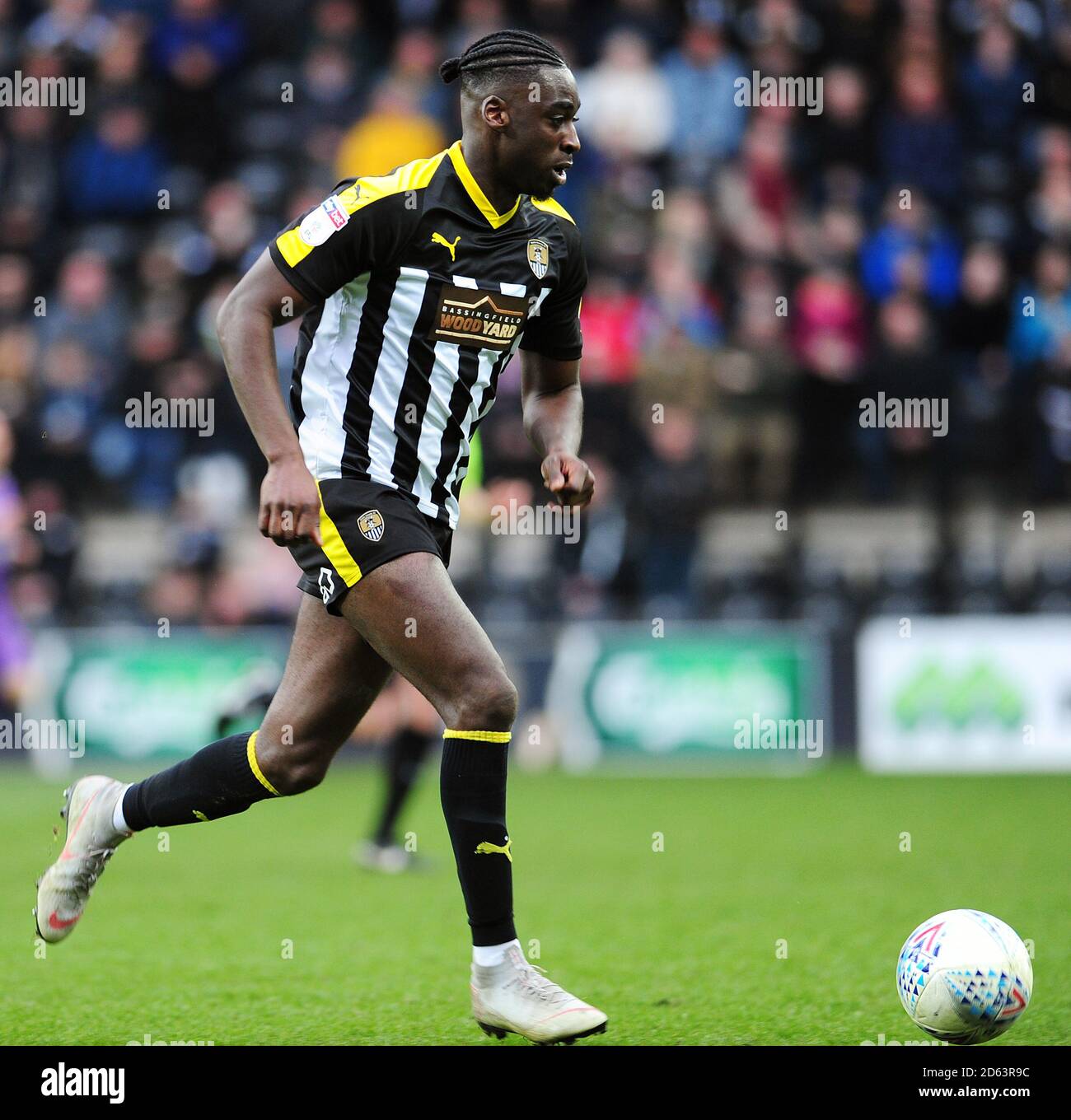 Enzio boldewijn hi-res stock photography and images - Alamy