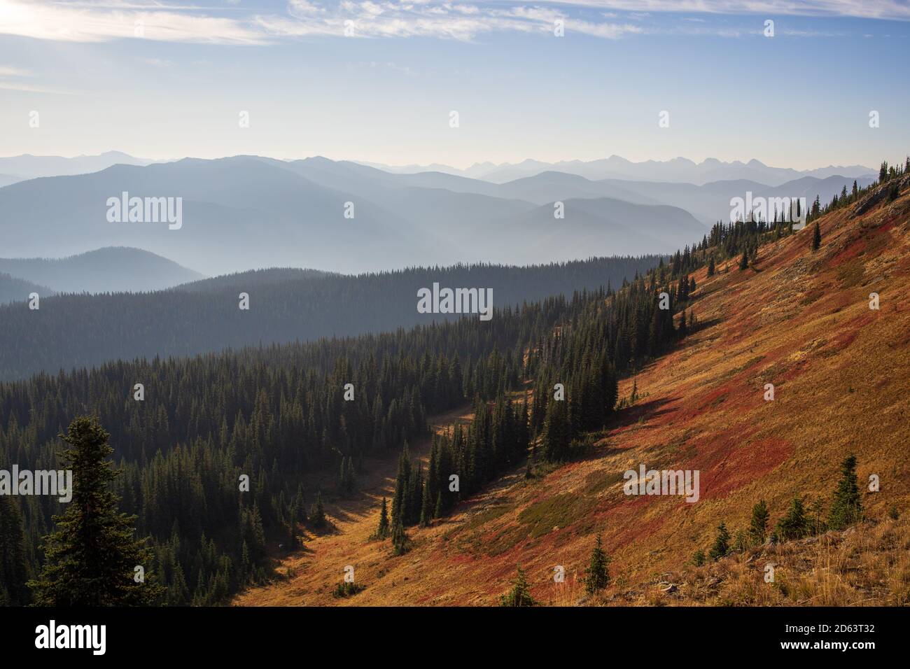 Mountain meadow in early October Manning Park BC Stock Photo - Alamy