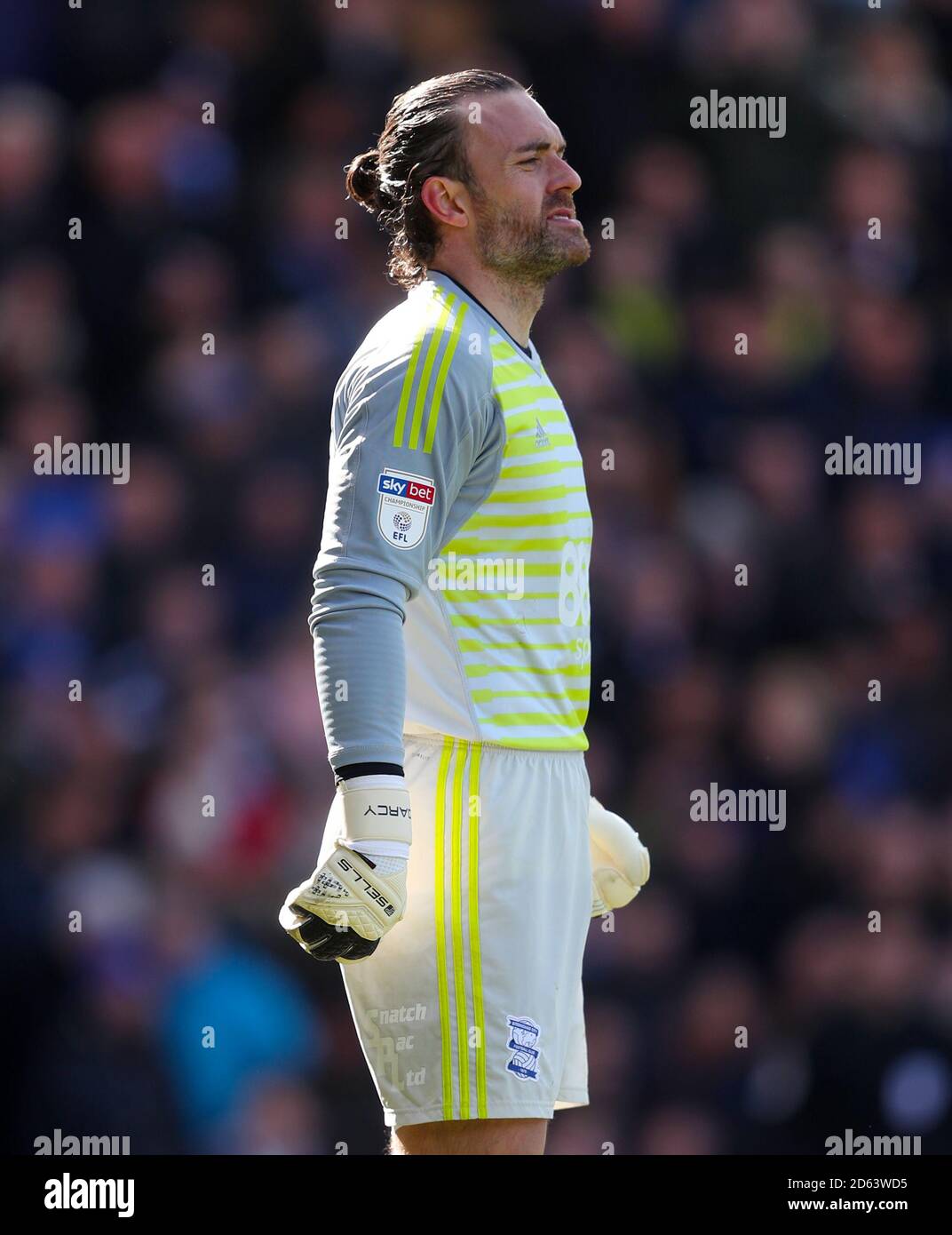 Birmingham City goalkeeper Lee Camp Stock Photo - Alamy