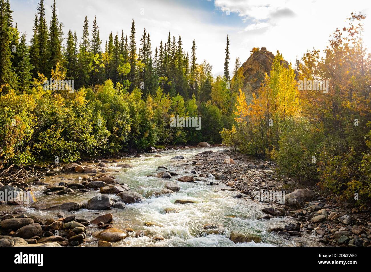 Scenic view of Alaska river in colorful forest trees in fall at day ...