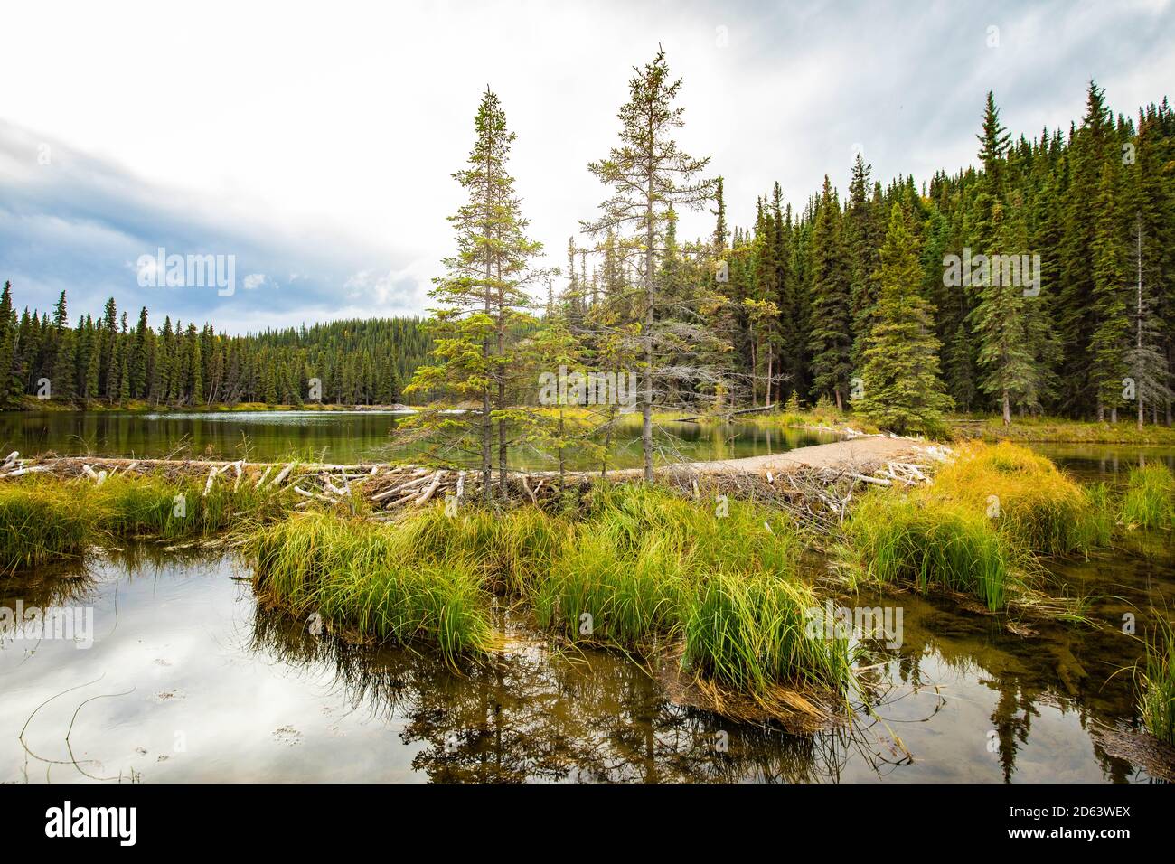 Horseshoe lake nature preserve hi-res stock photography and images - Alamy