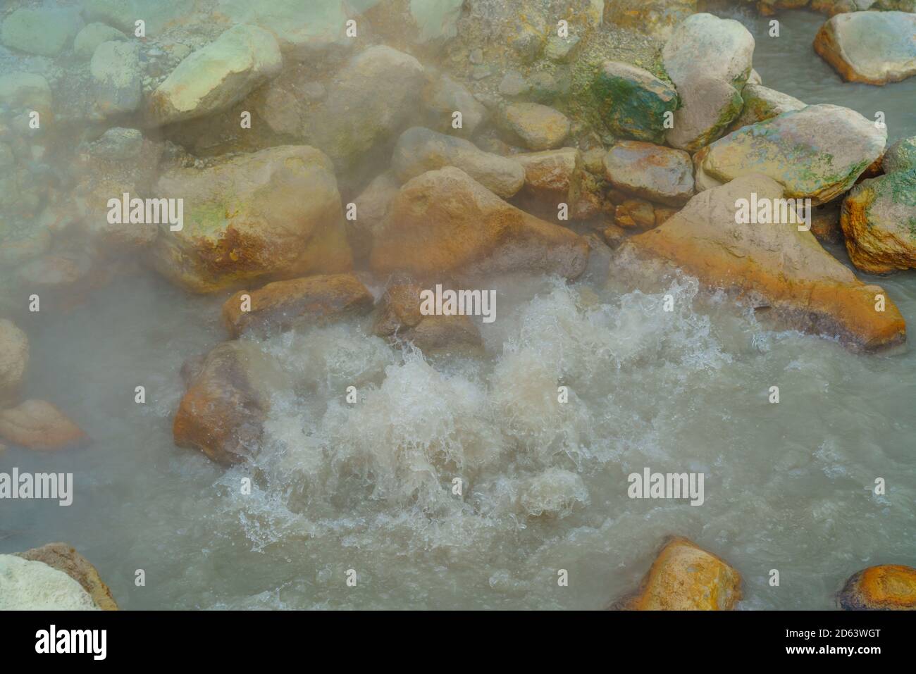 Hotsprings Of The Lake Furnas. Sao Miguel, Azores. Lagoa das Furnas ...