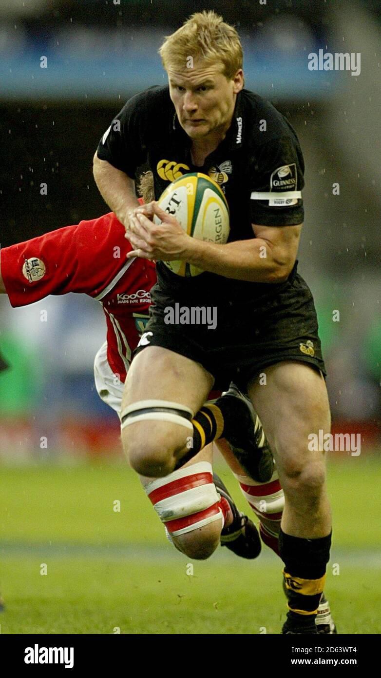 Stuart Abbot, Wasps Stock Photo - Alamy