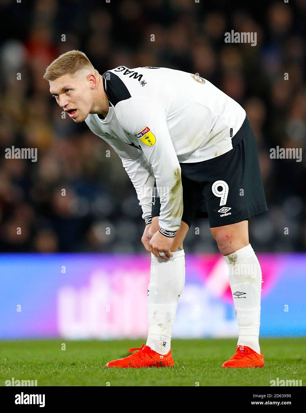 Derby County's Martyn Waghorn Stock Photo - Alamy